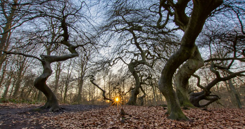 Lietzow - der Geimtipp auf Rügen