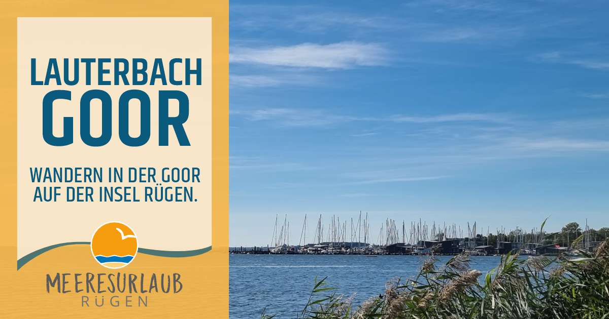 Lauterbach Goor - Wandern im Waldgebiet Goor